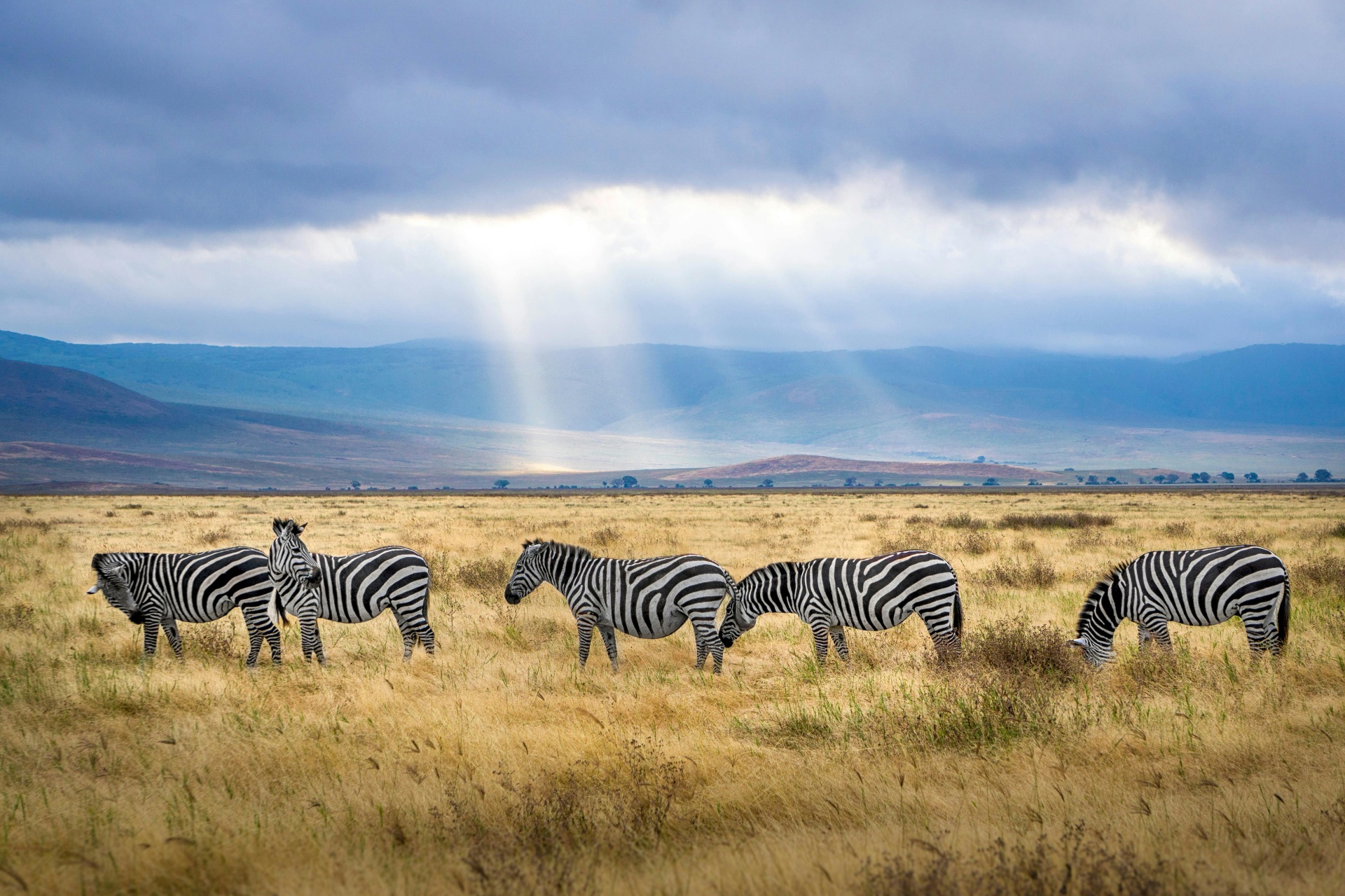 Kamva Shuttle & Tours | Premium Shuttle & Travel Services Across ...